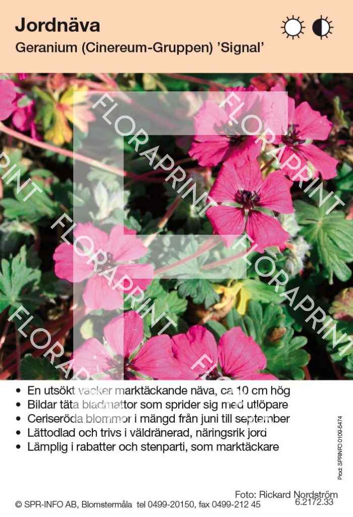 Geranium Cinereum-Grp Signal – Floraprint — f.d SPR Info